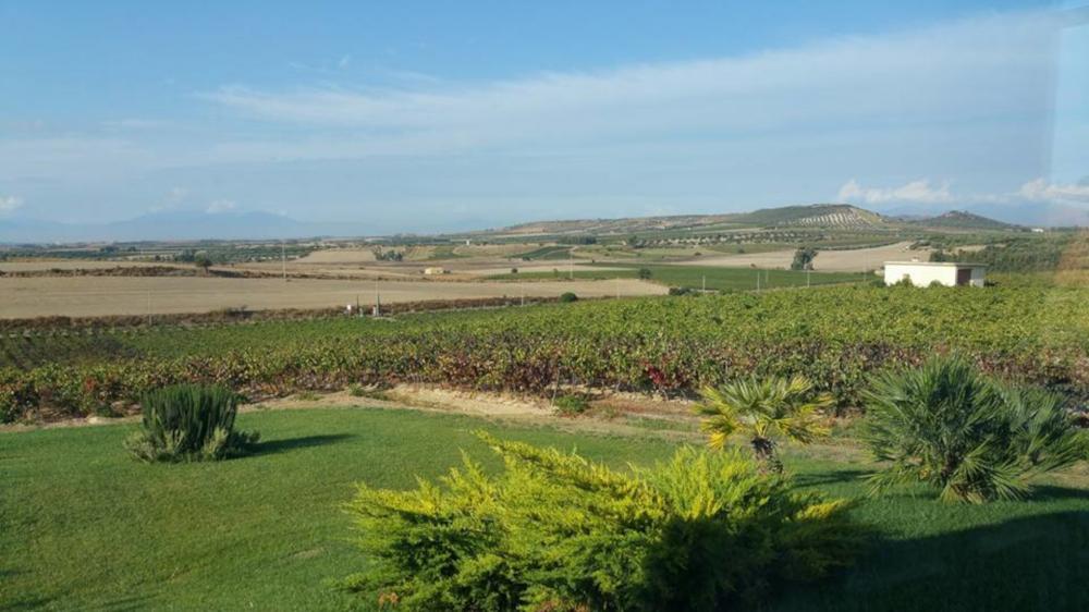Visita alle cantine del vino Audarya a Serdiana nella zona di Cagliari ...